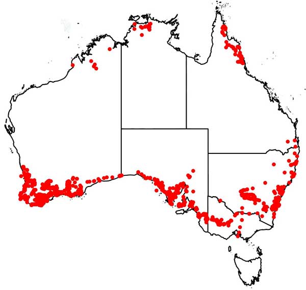 John Wrigley, botanical collector